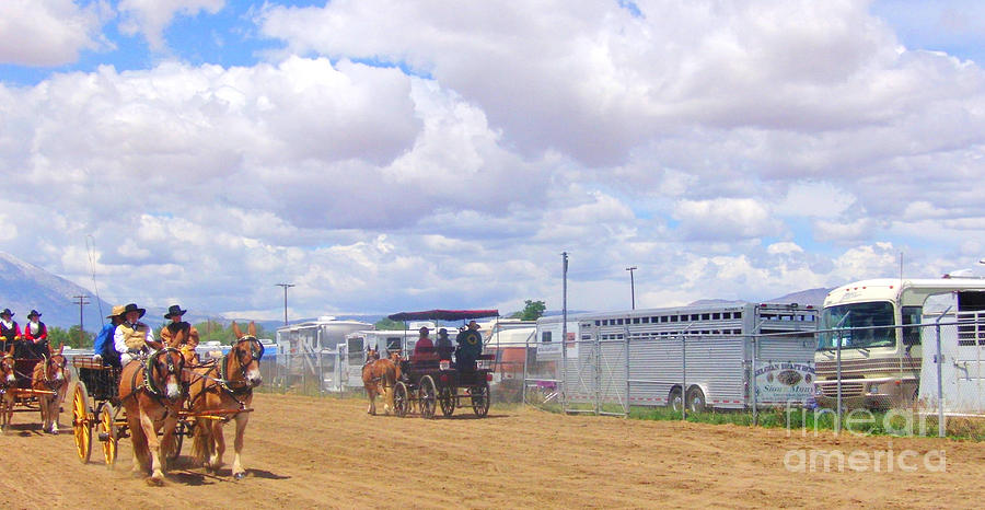 Mule Dust Photograph by Marilyn Diaz - Fine Art America