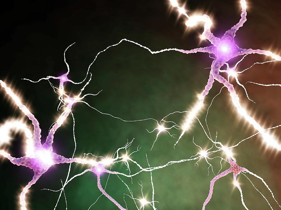 Nerve Cells Firing Photograph by Alfred Pasieka/science Photo Library ...
