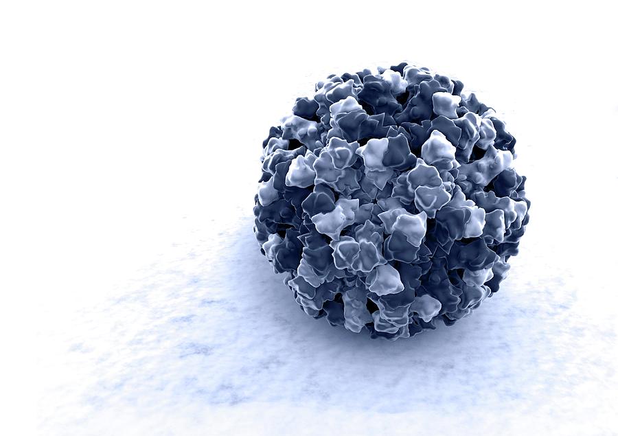 Norovirus Particles Photograph by Sci-comm Studios - Fine Art America