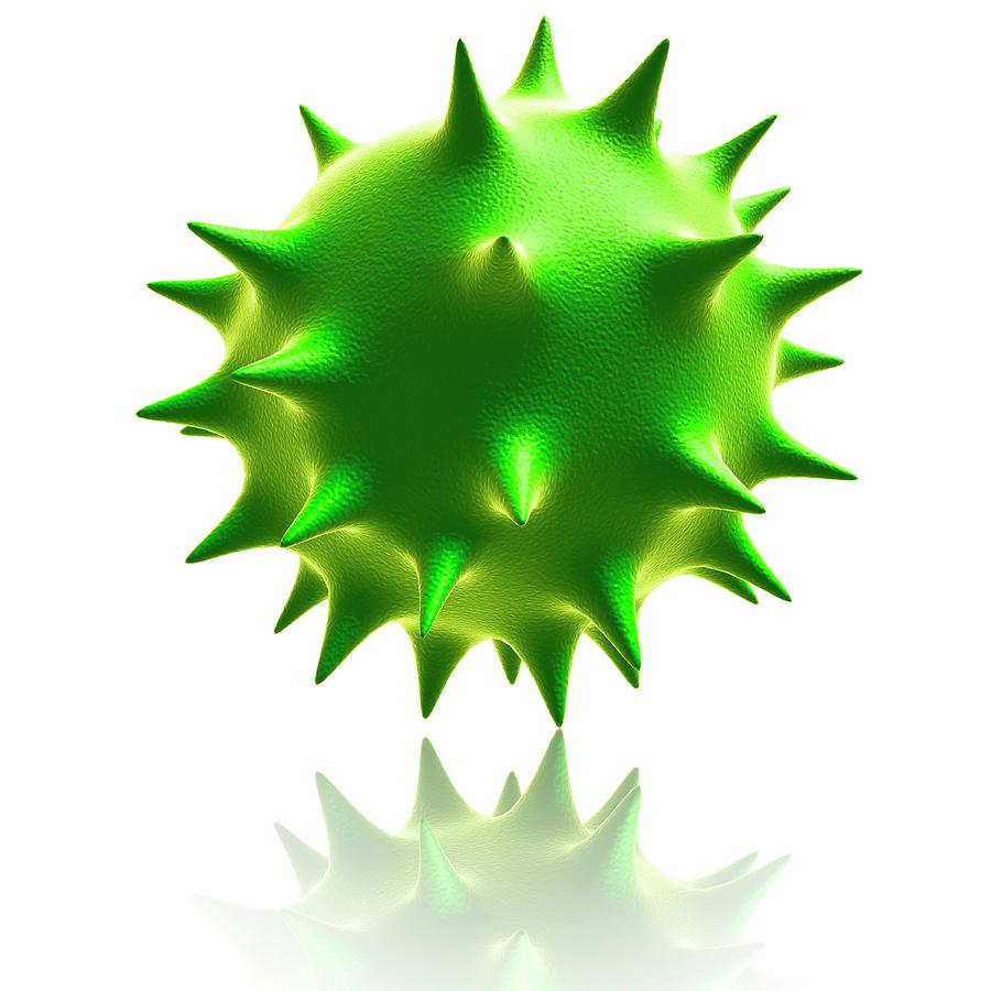 Norovirus Virus Particle Photograph by Pixologicstudio/science Photo Library - Fine Art America