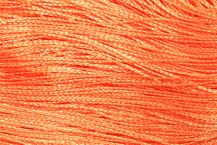 Orange string Photograph by Tom Gowanlock - Fine Art America