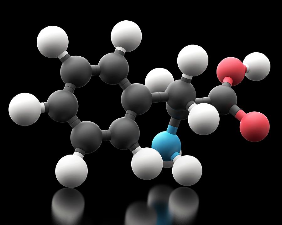 Phenylalanine Amino Acid Molecule Photograph By Carlos Clarivanscience
