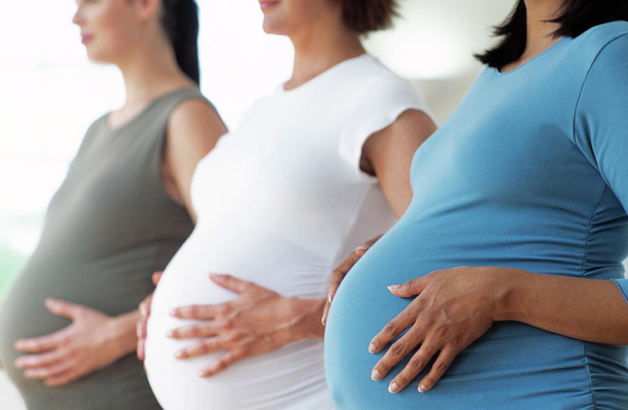 Pregnant Women Photograph By Ian Hooton Science Photo Library Fine