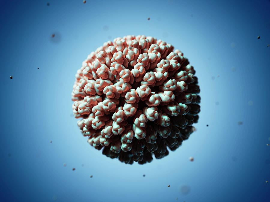 Rotavirus Particle Photograph by Sciepro/science Photo Library - Pixels