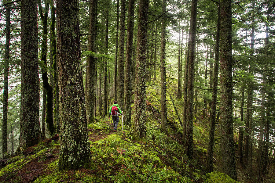 Ruckel Ridge, Oregon. A Man Hiking Photograph by Modoc Stories | Fine ...