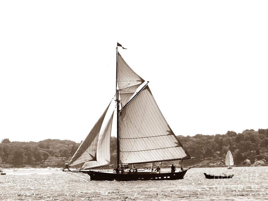 Sloop Frances Photograph by Christine Stack | Fine Art America