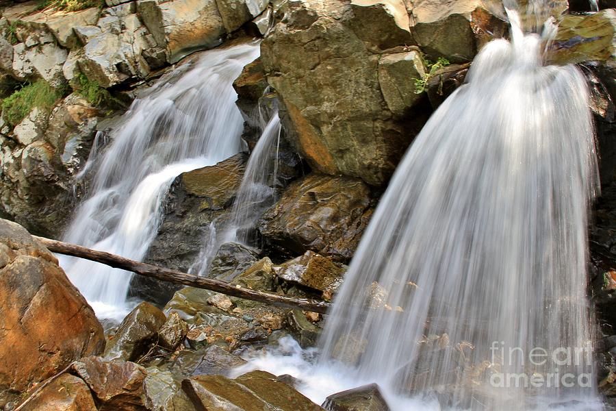 Split Falls Photograph by Butch Phillips - Fine Art America