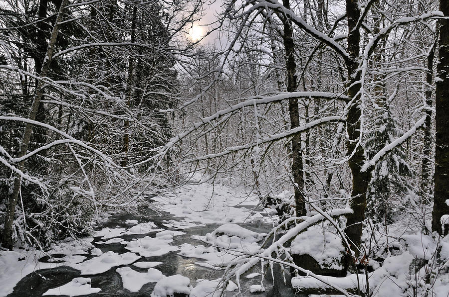 Stream in Winter Photograph by Mark Rasmussen - Fine Art America