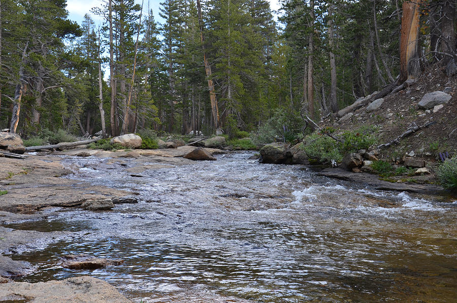 Stream Photograph by Ricardo Dominguez - Fine Art America