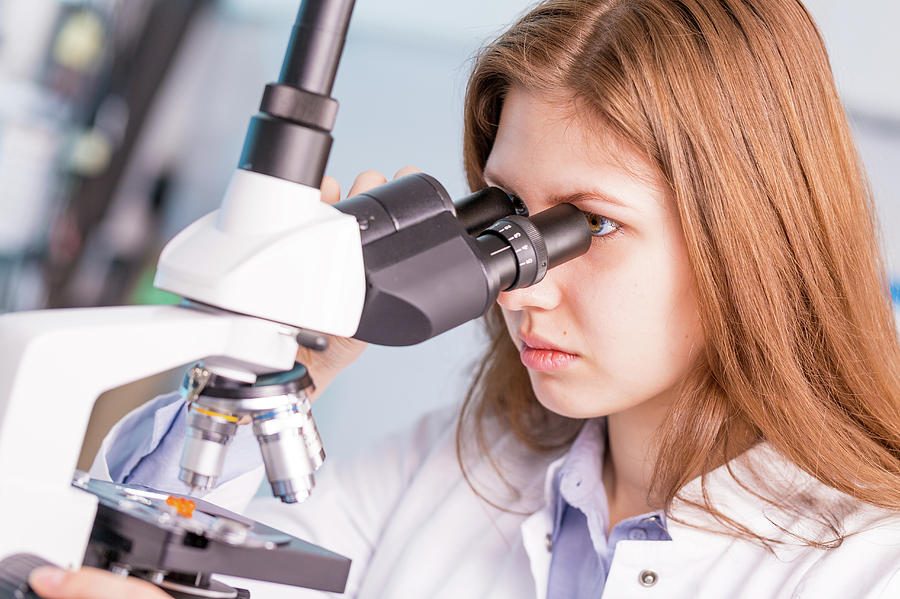 Student Using Microscope In Lab Photograph by Wladimir Bulgar - Fine ...