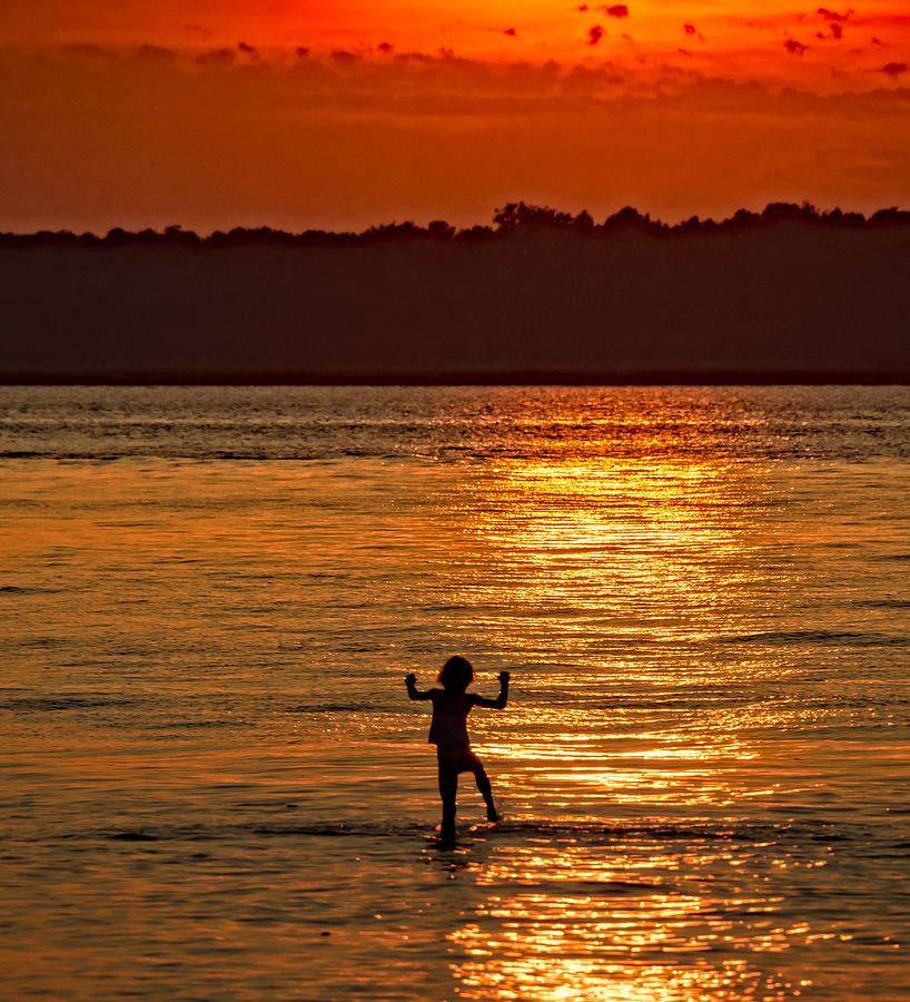 Summer Joy Photograph by David Kay | Fine Art America