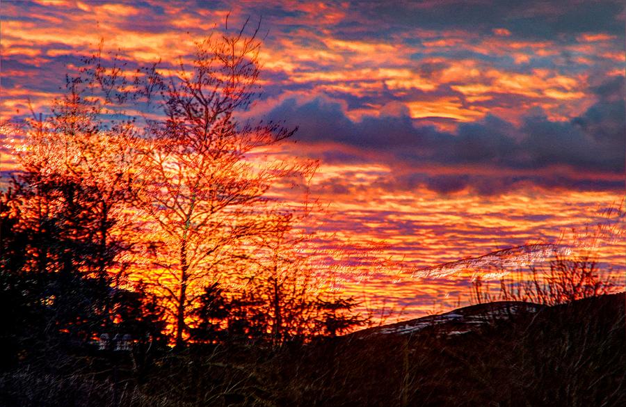 Sunset Pyrography by Geoff Whitfield - Fine Art America