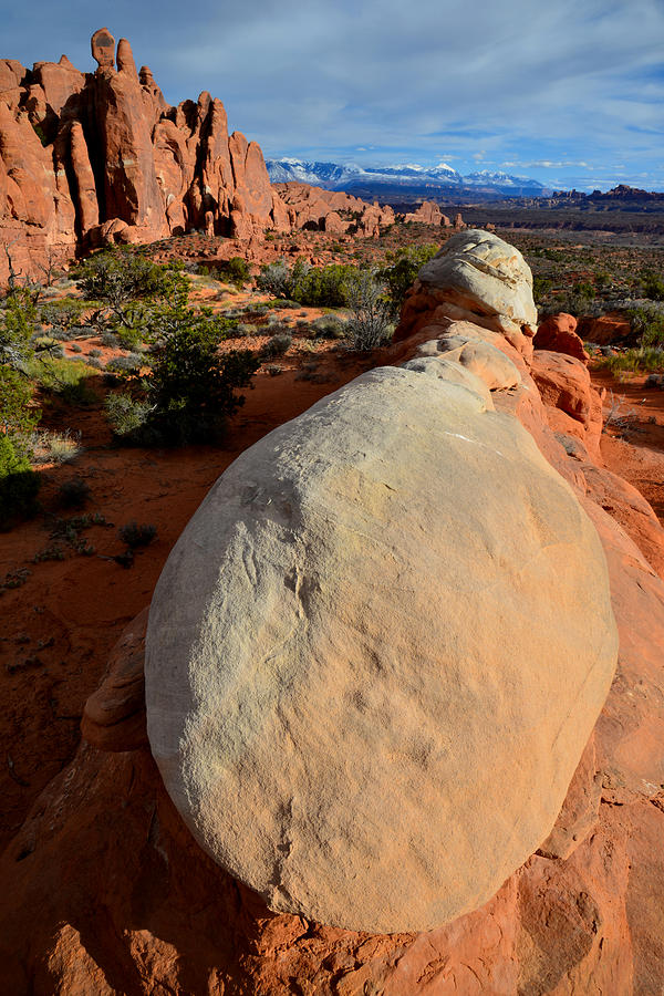 The Turtle Photograph by Ray Mathis - Fine Art America