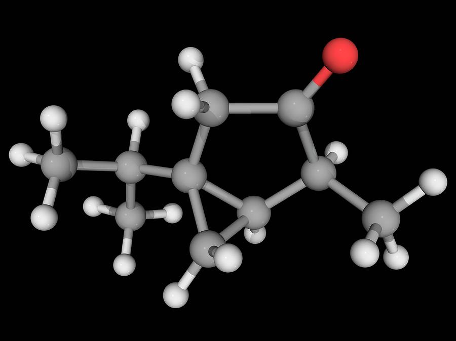 Thujone Molecule Photograph by Laguna Design/science Photo Library - Pixels