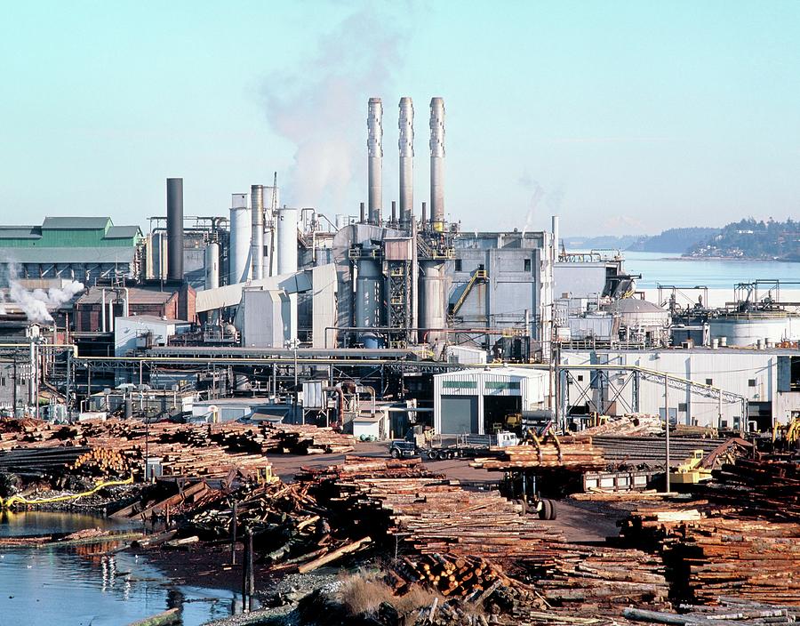 Timber Processing Plant Photograph by Simon Fraser/science Photo ...