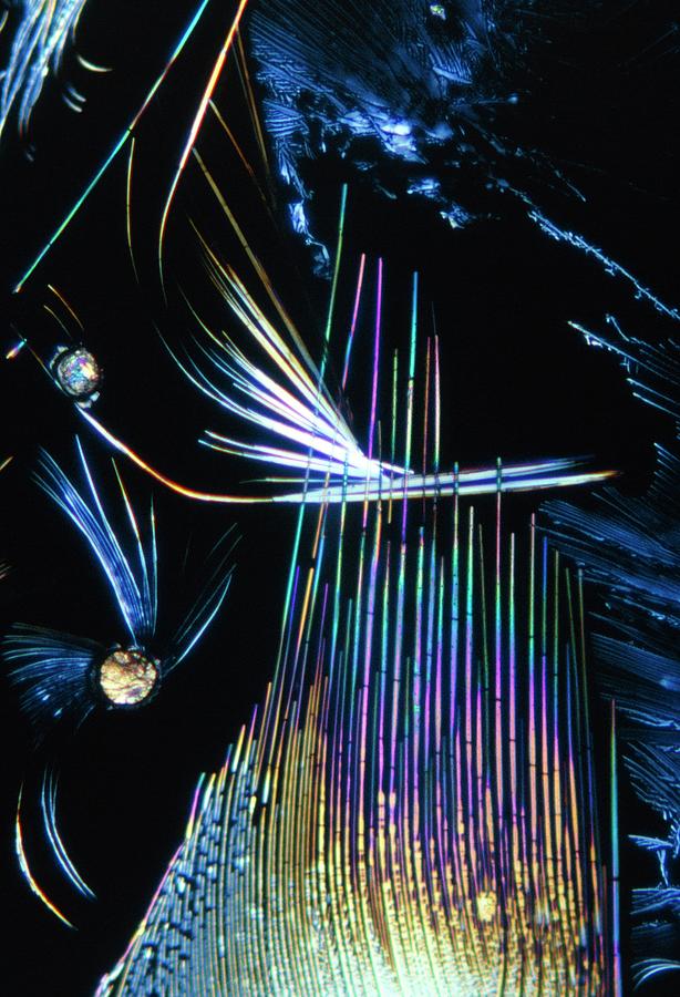 Tnt Explosive Crystals #1 Photograph by Stephen A. Skirius / Science ...