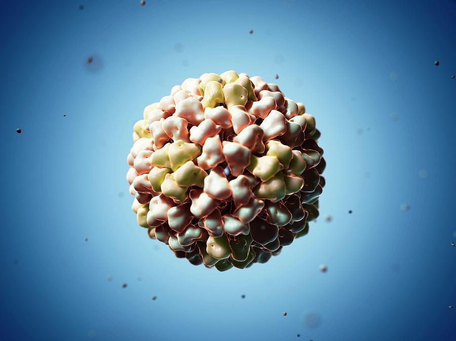 Tomato Aspermy Virus Particle Photograph by Sciepro/science Photo Library - Fine Art America