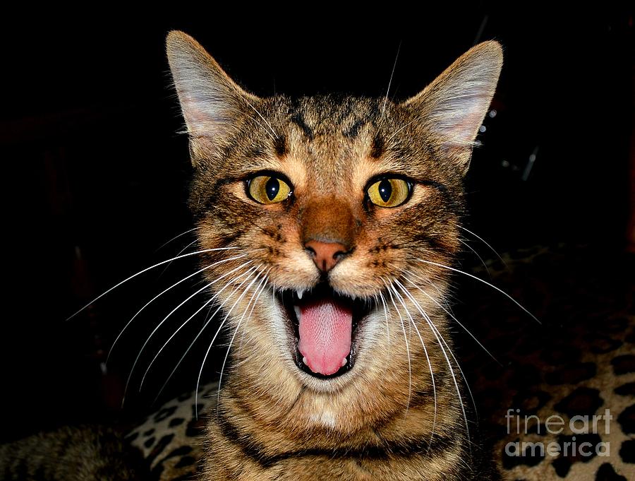 Trigger #1 Photograph by Charles Trinkle - Fine Art America