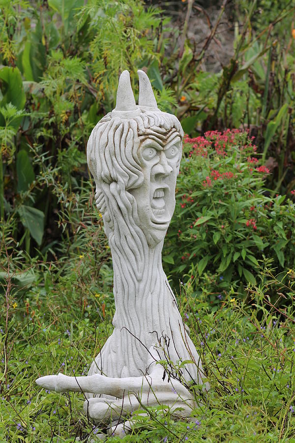 Two faced Pointer Photograph by Rene Trebing - Fine Art America