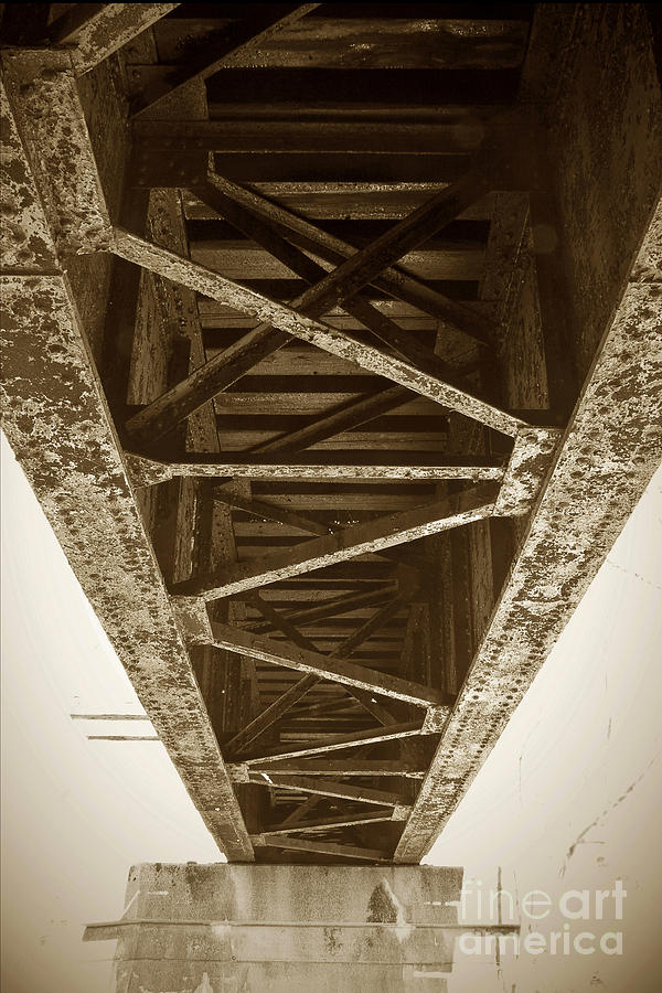 Undergird Photograph by Edward Spector - Fine Art America