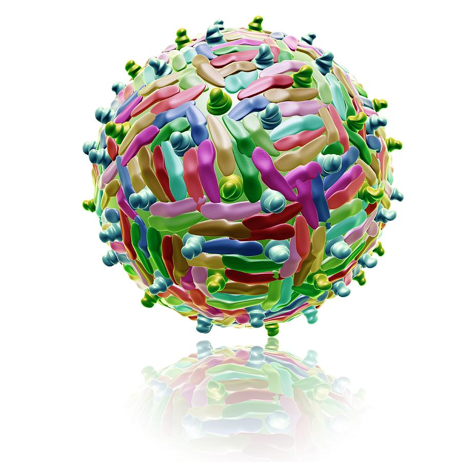 West Nile Virus Particle #1 Photograph by Pixologicstudio/science Photo Library - Pixels