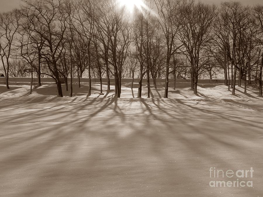 Winter Shadows Photograph by Christine Stack | Fine Art America