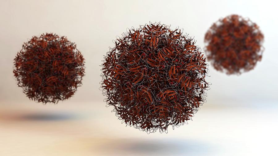 Zika Virus Particles Photograph by Karsten Schneider/science Photo Library - Fine Art America