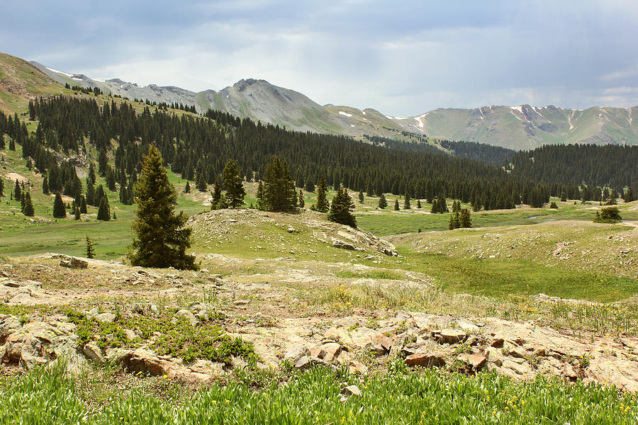 Engineer Pass In Colorado Photograph By Brett Pfister Fine Art America