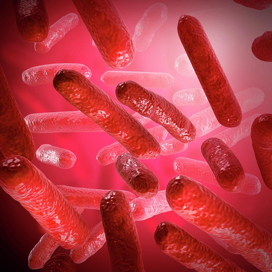 Bacteria #12 by Science Photo Library