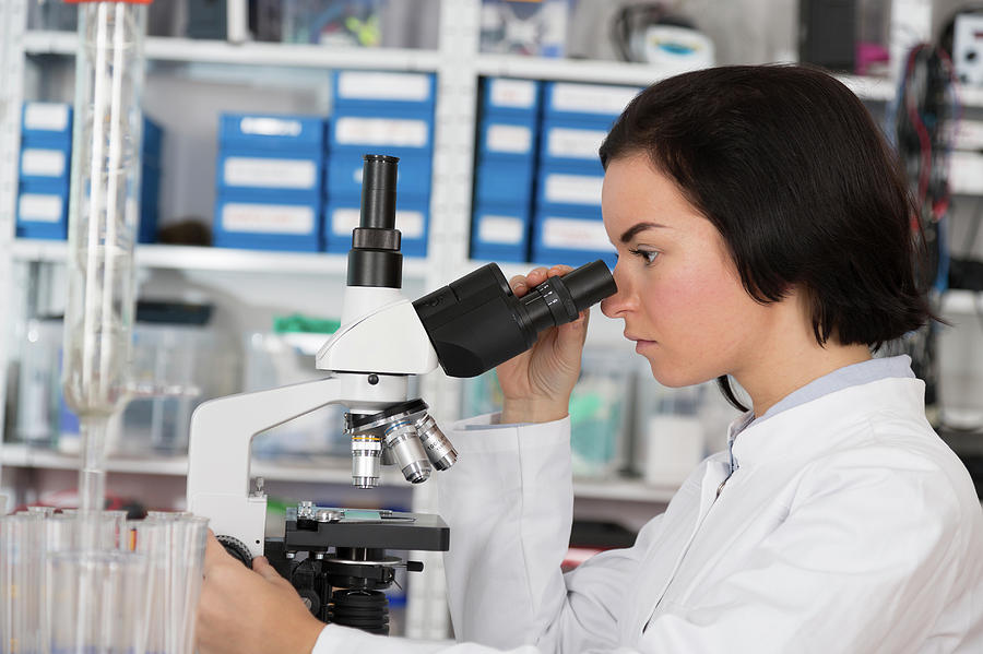 Lab Assistant Using Microscope #12 by Science Photo Library