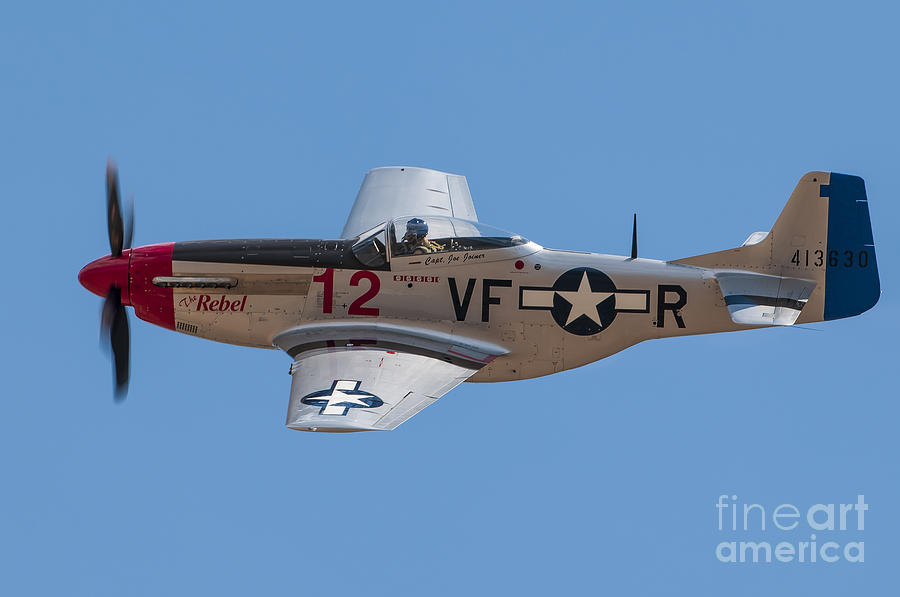 #12 The Rebel Photograph by Steve Rowland - Fine Art America