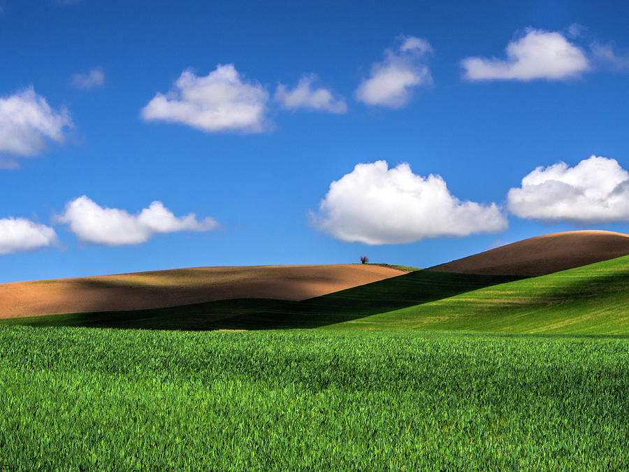 USA, Washington State, Palouse Country Photograph by Terry Eggers ...