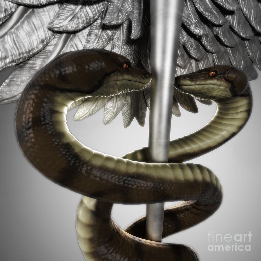 Caduceus Photograph by Science Picture Co - Pixels Caduceus Photograph by Science Picture Co - Pixels