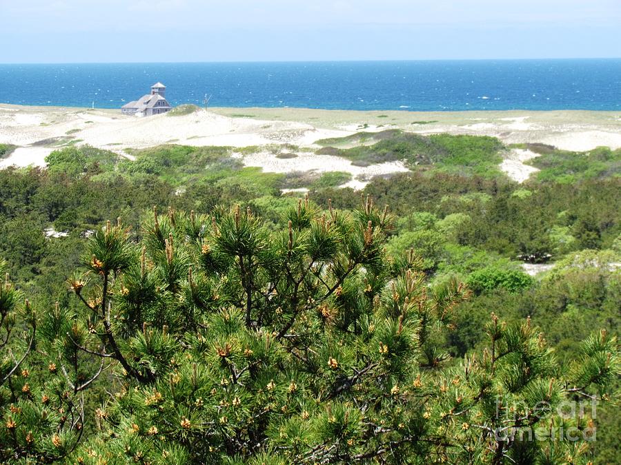 Cape Cod beach point Photograph by Ted Pollard