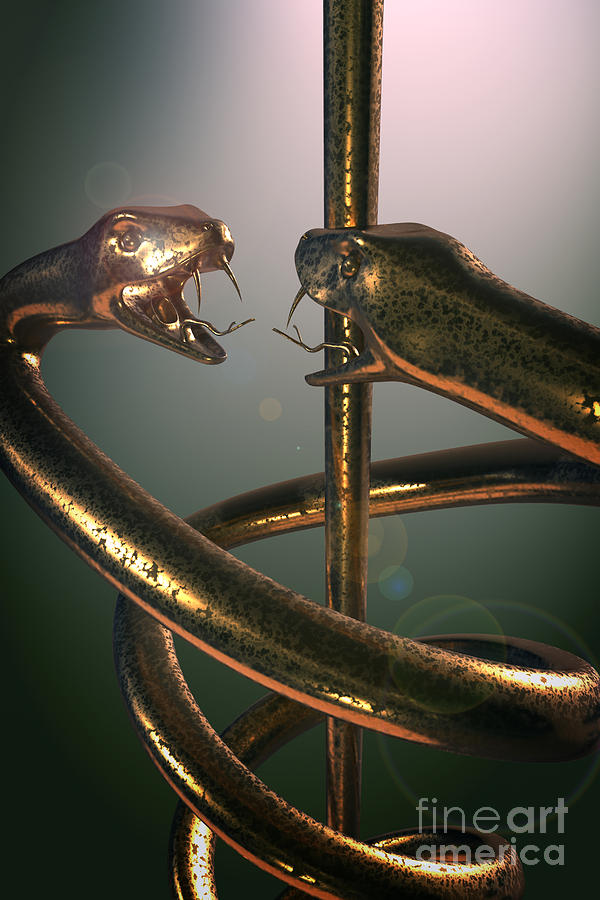 Caduceus Photograph by Science Picture Co Caduceus Photograph by Science Picture Co