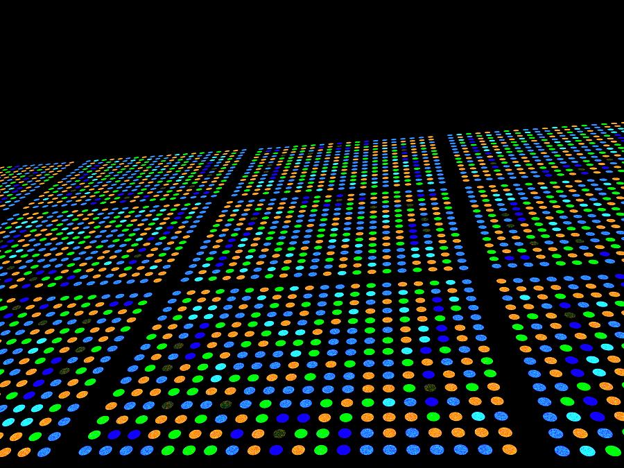 Dna Microarray #14 by Science Photo Library
