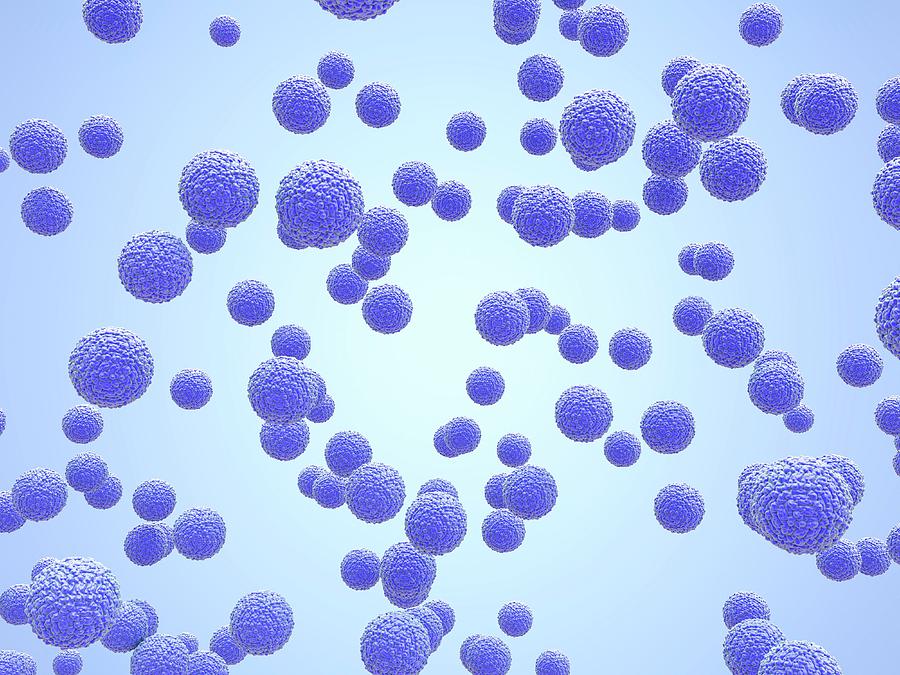 Zika Virus Particles Photograph by Maurizio De Angelis/science Photo Library - Fine Art America