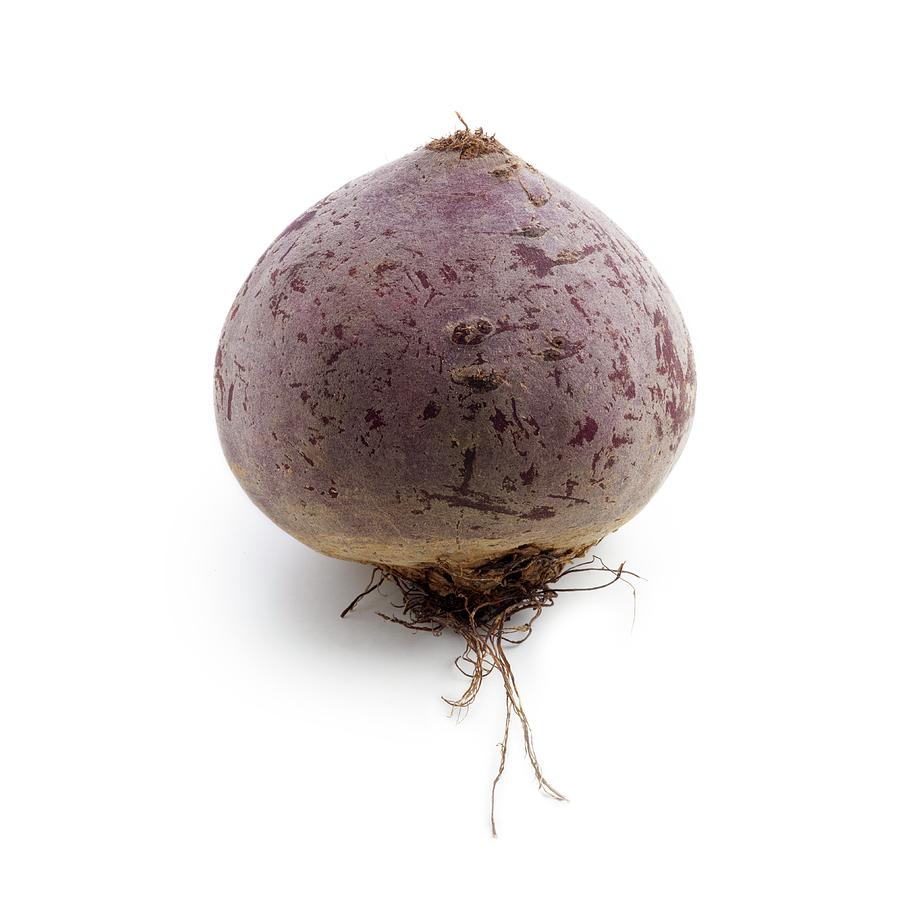 Beetroot Photograph by Science Photo Library | Fine Art America