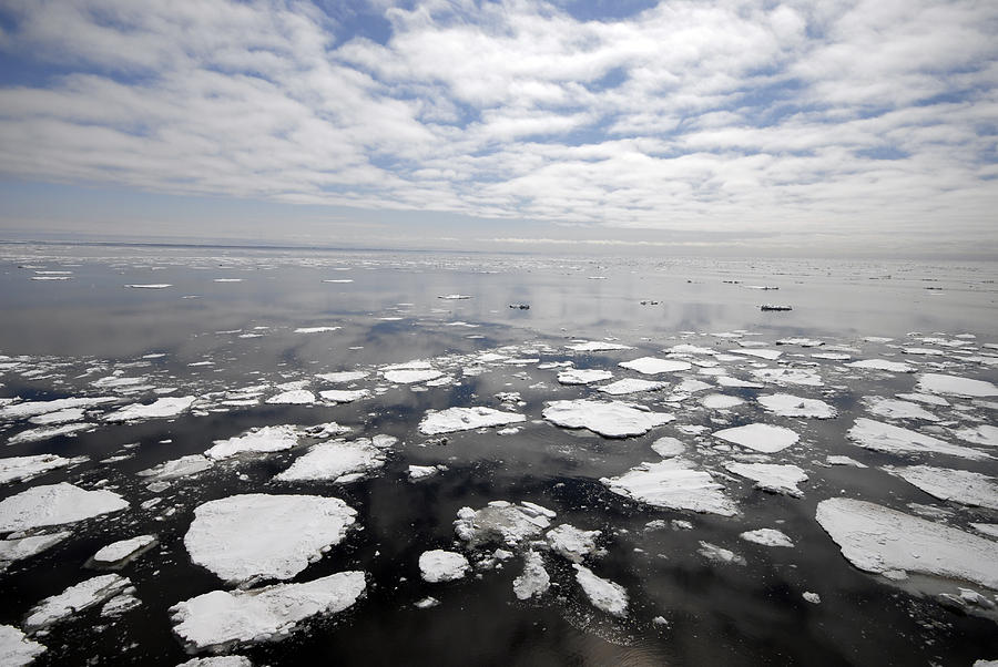 Bering Sea Ice Photograph by Carleton Ray - Fine Art America