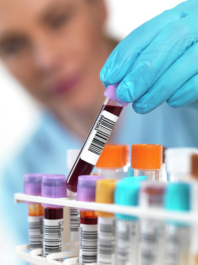 Blood Samples In Rack Photograph by Tek Image - Fine Art America