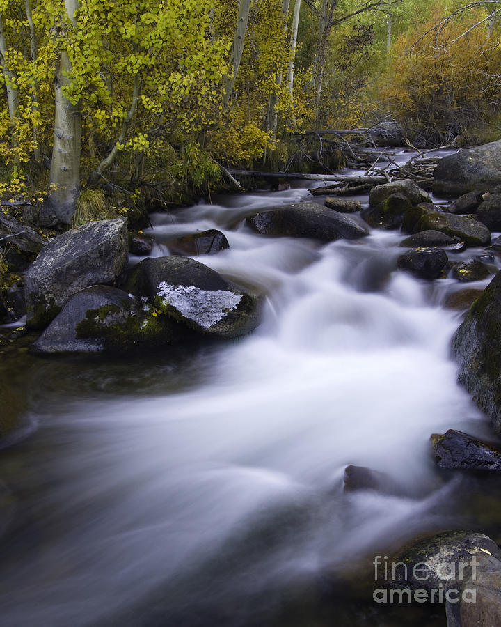 Cascading Stream Photograph by John Shaw - Fine Art America