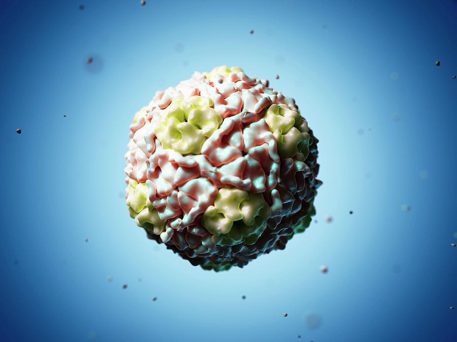 Cricket Paralysis Virus Particle Photograph by Sciepro/science Photo Library - Pixels