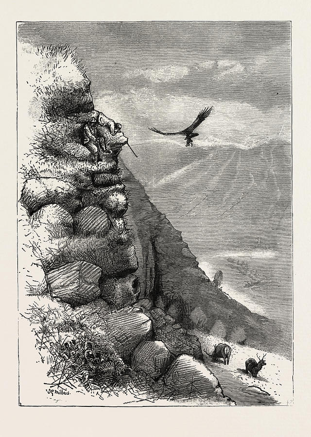 Deer Stalking In The Forest Of The Black Mount Drawing by English ...