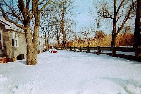 Driveway Photograph by Desline Vitto - Fine Art America