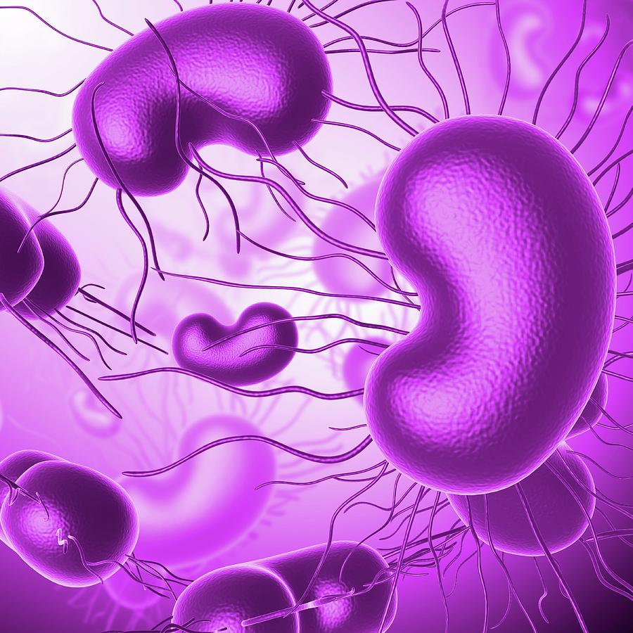 E. Coli Bacteria #2 by Science Photo Library