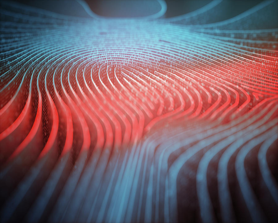 Fingerprint Shape In Binary Code #2 by Science Photo Library