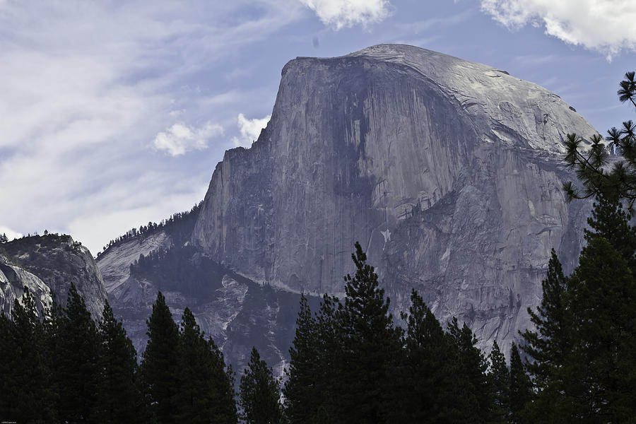Half Dome Photograph by Brian Williamson - Fine Art America