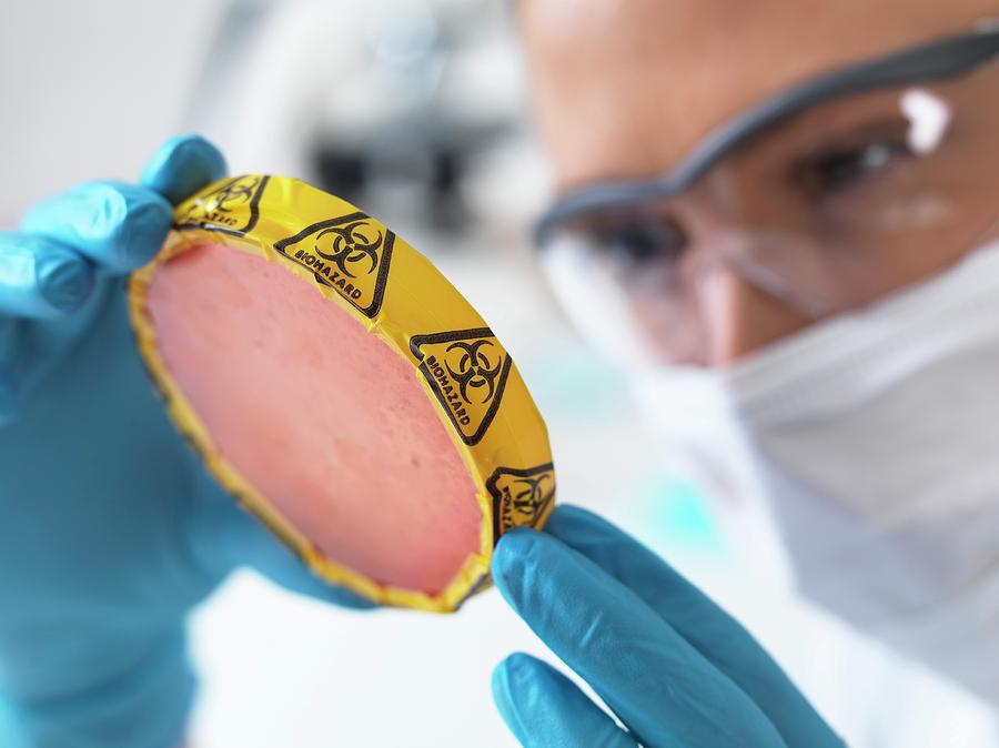 Hazardous Sample #2 by Science Photo Library