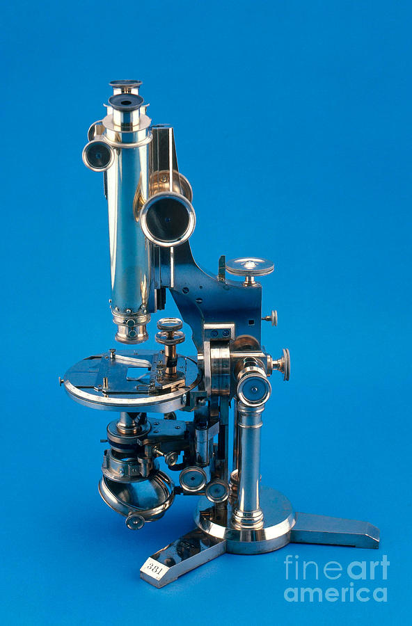 Historical Microscope Photograph by Dr. Cecil H. Fox - Fine Art America