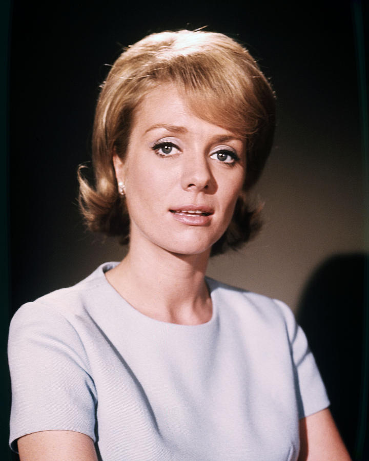 Inger Stevens #2 Photograph by Silver Screen - Pixels